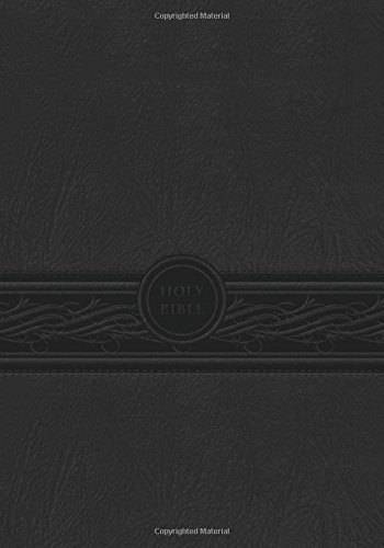 MEV Bible Personal Size Large Print Charcoal Indexed: Modern English ...