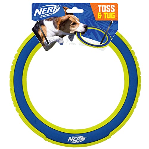 Best Dog Frisbees - A Complete Guide