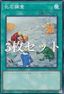 Amazon.co.jp: 【3枚セット】化石調査 (日本語版 スーパーレア) RC04-JP054 : ホビー