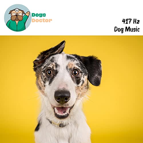 Riproduci 417 Hz Dog Music di Dogs Doctor su Amazon Music
