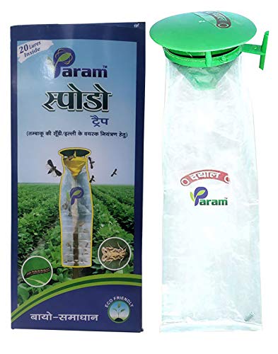 Param Spodo Trap & Lure (10 Trap & 20 Lure),1 Box : Amazon.in: Garden ...
