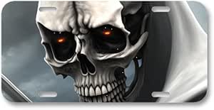 Amazon.com: Aluminum Front License Plate for Front of Car - 12 x 6 ...