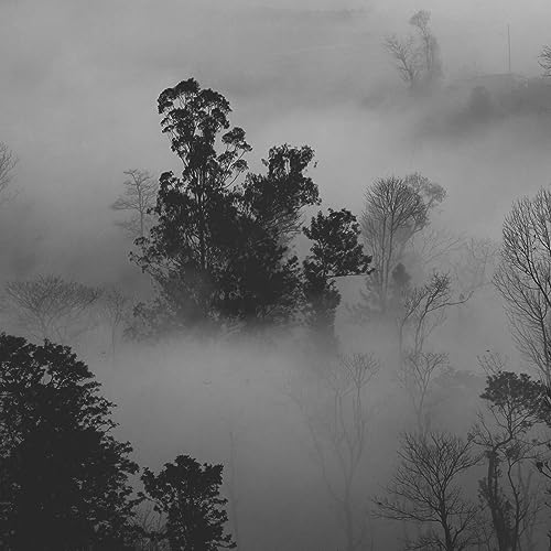 Crime by Social Order on Amazon Music - Amazon.com