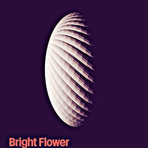 Écouter Bright Flower par Raymond Hamm sur Amazon Music Unlimited