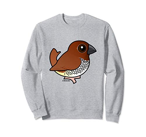 Scaly-breasted Munia aka Spice Finch or Nutmeg Mannikin