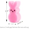 Amazon.com: ORIENTAL CHERRY Easter Decorations - Easter Peeps Bunnies ...