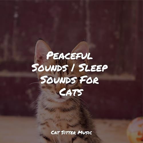 Spiele Peaceful Sounds | Sleep Sounds For Cats von Music for Relaxing ...
