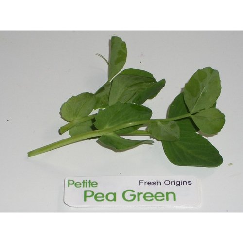 Amazon.com : Micro Greens - Petite Pea Green - 4 x 4 oz : Peas Produce ...