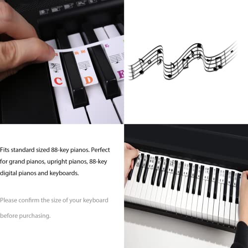 Snapklik.com : Piano Notes Guide For Beginner, Removable Piano Keyboard ...
