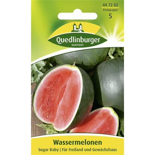 Baby Melone – Die 15 besten Produkte im Vergleich & Angebote ...