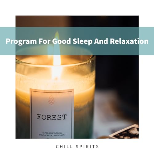 Amazon.co.jp: Program For Good Sleep And Relaxation : Chill Spirits ...