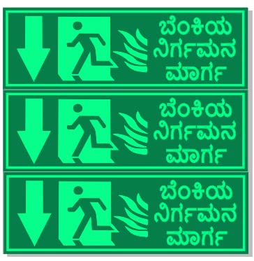 Buy HSE INDIA SERVICES Fire Exit Down Radium with Man sign Radium Each ...