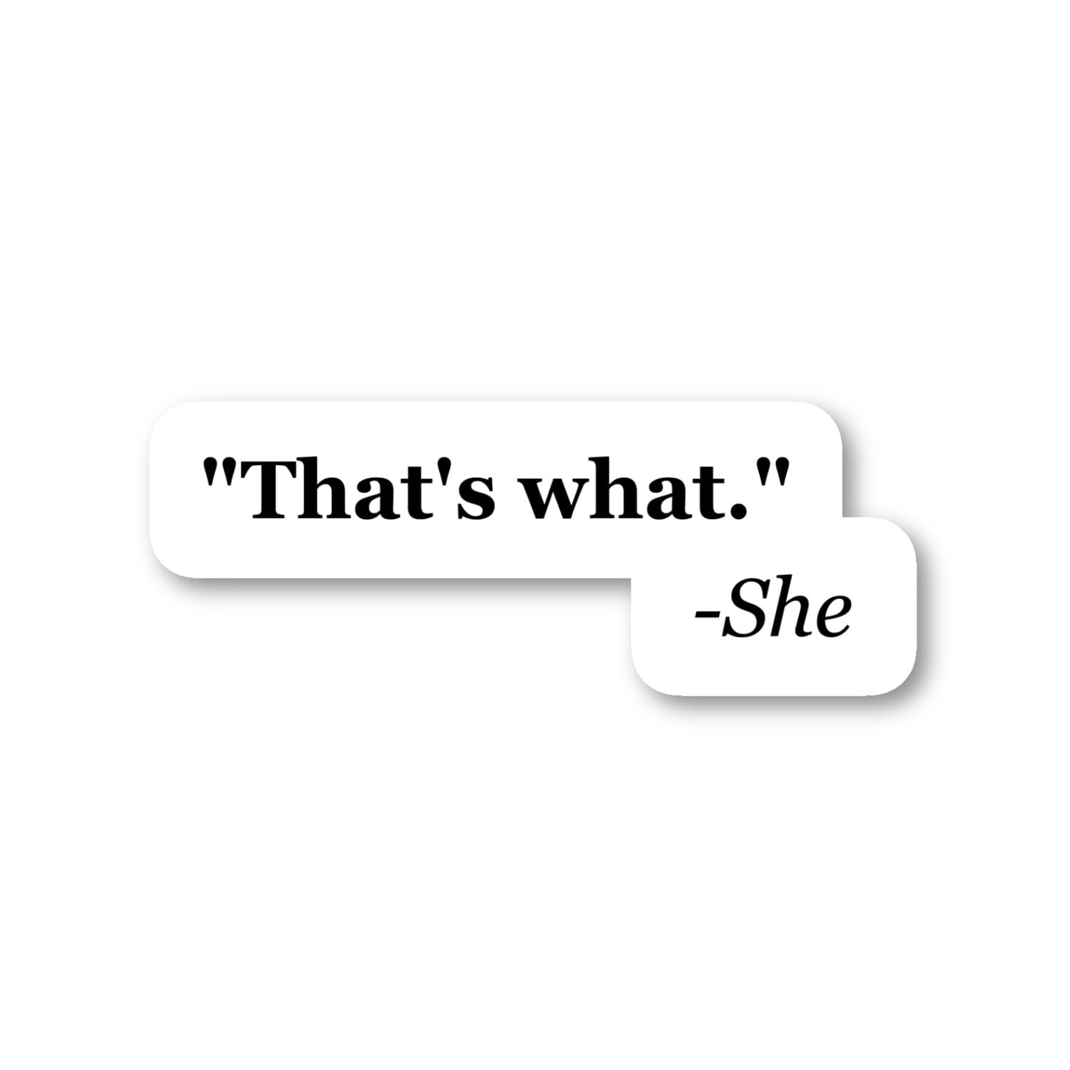 Thats What She Said Sticker Funny Quotes Stickers 3 Pack | Desertcart INDIA