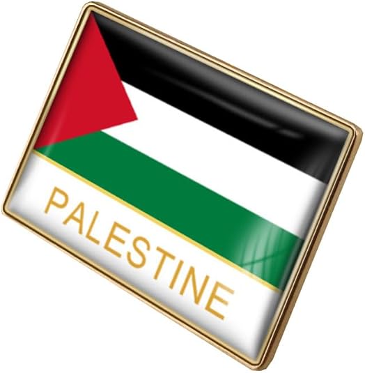 Amazon.com: Palestine Flag Lapel Pins, 50 PCS Palestinian National ...