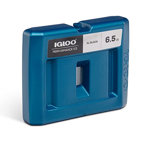 Best Igloo Cooler for Ice Retention: Keep Your Beverages Chilled All ...