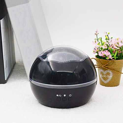 Amazon.com: Bananas Over Baby Moon Star / Sea Marine Animal Light ...