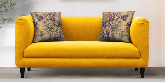 GOLD BIRD Classic 2 Seater Bucket Style Sofa for Home, Office & Hotel ...