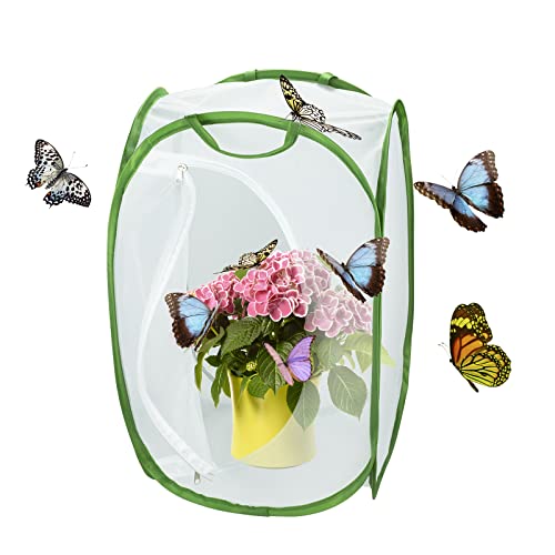 Insect Butterfly Garden Mesh Net Cage -Pop Up 23.6inch Tall ...