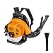 Amazon.co.jp: HAIGE(ハイガー) 背負い式 エンジンブロワー 業務用 家庭用 43cc 最大風速63m/s フラットノズル HG-B243B : DIY・工具・ガーデン