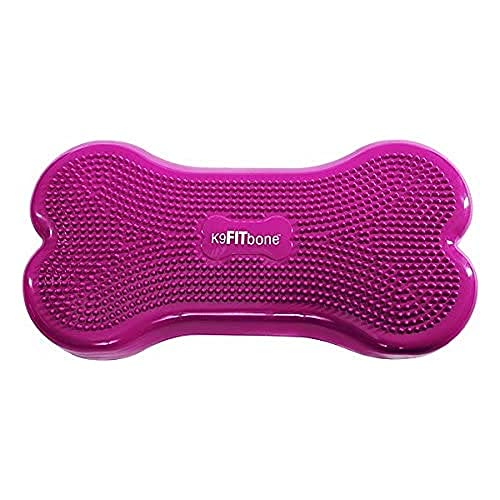 Balance Board für Hunde – Die 15 besten Produkte im Vergleich ...