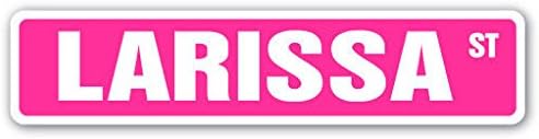 Amazon.com: Cortan360 Larissa Street Sign Childrens Name Room Sign ...