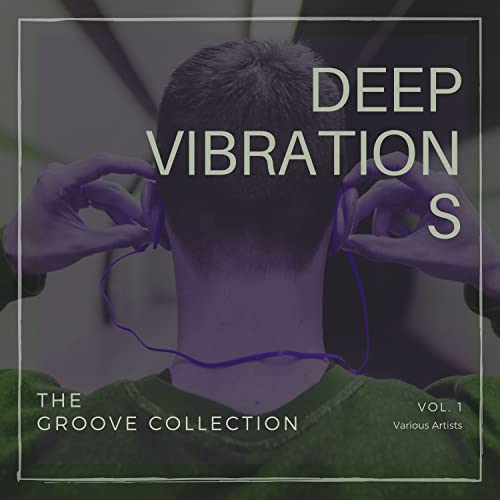 Amazon.com: Deep Vibrations (The Groove Collection), Vol. 1 : VARIOUS ...