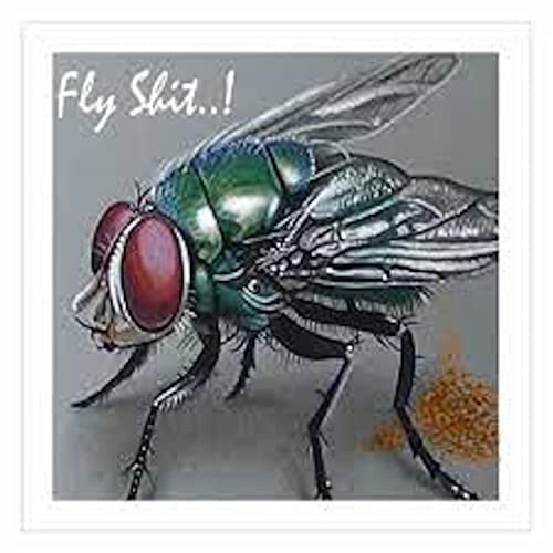 Sum Dat I Wont Do by Drip50 on Amazon Prime Music