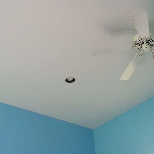 Amazon.com: Blue : Sopha: Digital Music