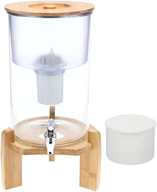 Amazon.com: Invigorated Water pH Recharge Glass Alkaline Water Filter ...