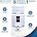 Amazon.com: Zen Water Systems Countertop Filtration and Purification ...