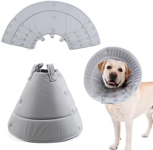 Amazon.com : Florez Soft & Foldable Recovery Cone for Pets: Cats & Dogs ...