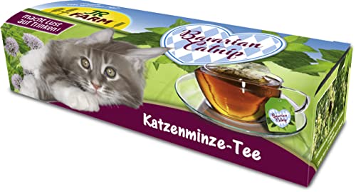 Katze Weed – Die 15 besten Produkte im Vergleich & Angebote ...