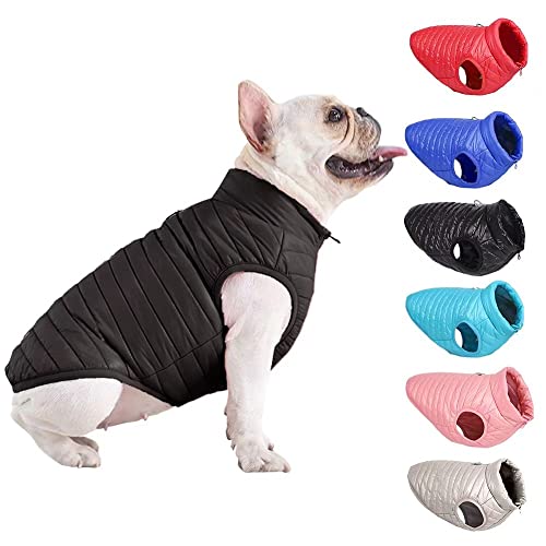 Puffer Jacket for Dogs – The 15 best products compared - Wild Explained