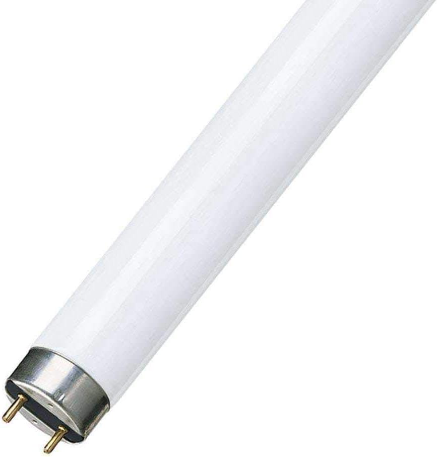 Osram T8 Fluorescent Tube 58 W/840, Cool White, Glass, G13, W : Amazon ...