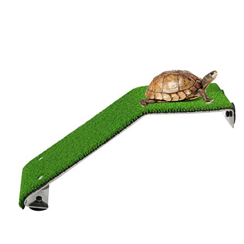 Leyeet Turtle Basking Platform, Turtle Ladder Tortoise Basking Platform ...