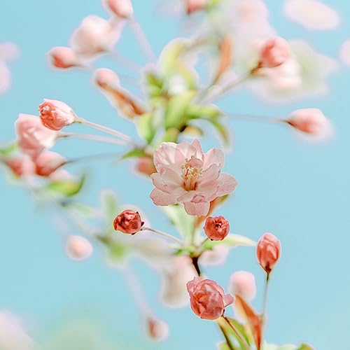 Amazon Music - Togyの天真的浪漫 - Amazon.co.jp