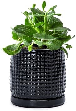 Amazon.com : D'vine Dev 4 Inch Ceramic Beaded Stoneware Planter Pot ...