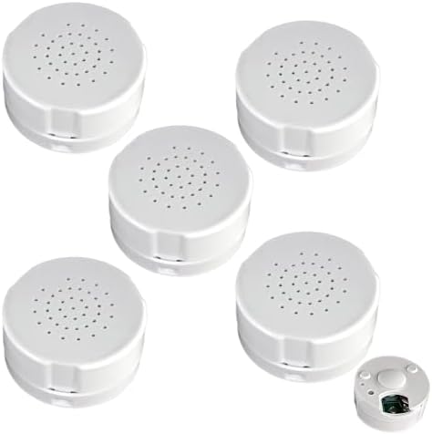 5 30 Second Voice Recorder, Toy Voice Box For, Size Audio Recording ...