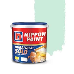 Nippon Paint Durafresh Solo Exterior Emulsion Paint (Fairways, 20 L ...