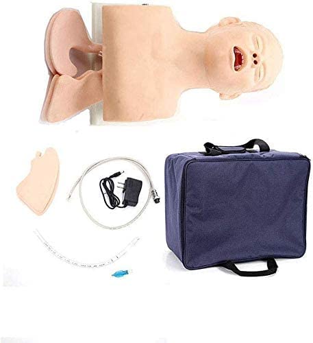Buy Anatomy model Skeleton Model Adult Tracheal Intubation Training ...