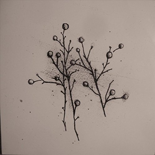 Amazon.com: No Greener Grass [Explicit] : Scott Tuma: Digital Music