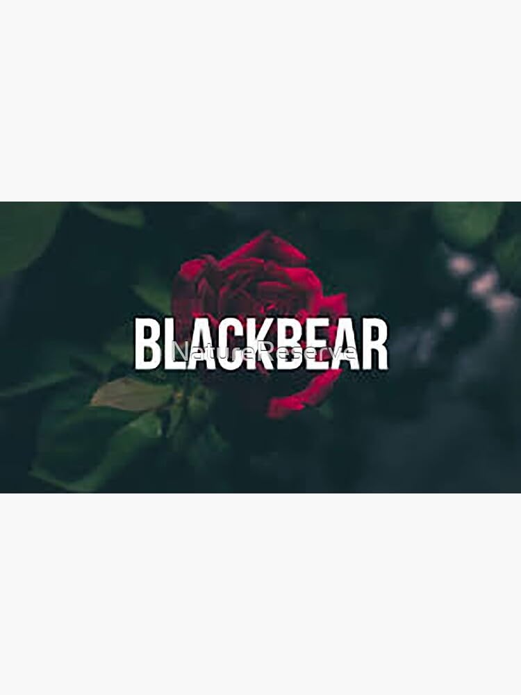 Amazon.com - Blackbear Sticker - Sticker Graphic - Auto, Wall, Laptop ...