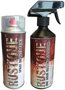 Rustique Real Spray on Rust Paint Kit 400ml : Amazon.co.uk: DIY & Tools