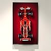 ICUANUTY Display Wallboard for Lego Technic Ferrari SF-24 F1 Car 42207 ...
