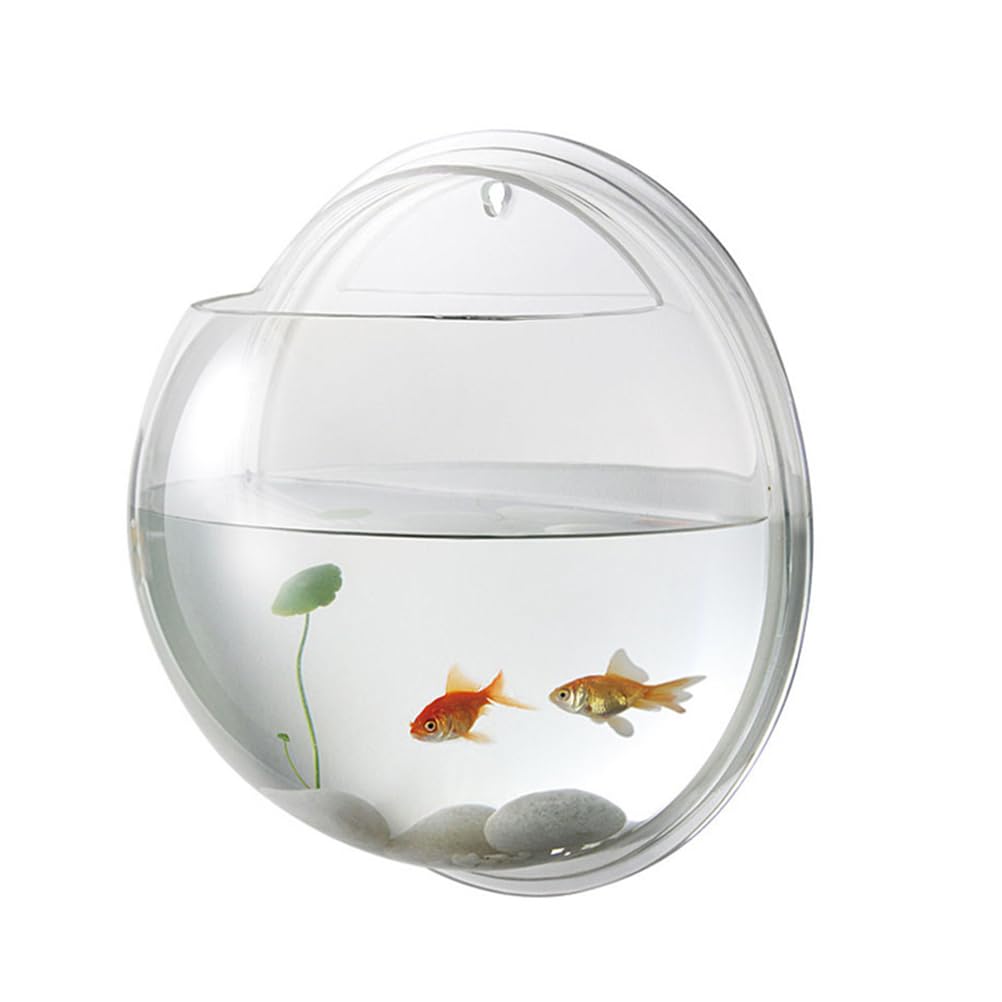 Amazon.com : Alipis Fish Tank Round Glass Vase Wall Mounted Acrylic ...