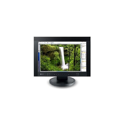Eizo CG221-BK ColorEdge 22.2- Inch LCD Monitor (Black) : Amazon.in ...