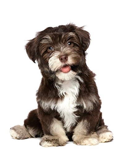 Journal: Chocolate Havanese: Publications, Dreamflight: 9781976749650 ...