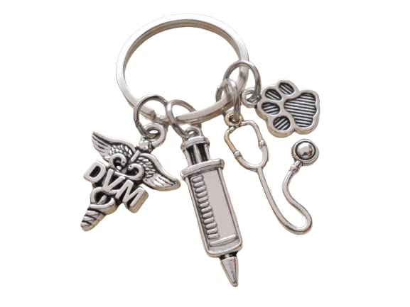 Amazon.com: Doctor of Veterinary Medicine Keychain, Veterinarian ...