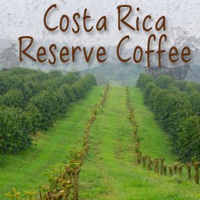 Amazon.com : Costa Rica Reserve Coffee 1LB-Whole Bean : Coffee ...