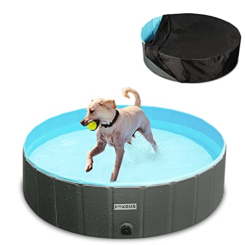 Cute Dog Pools By One Dog One Bone • Furniture Fashion
